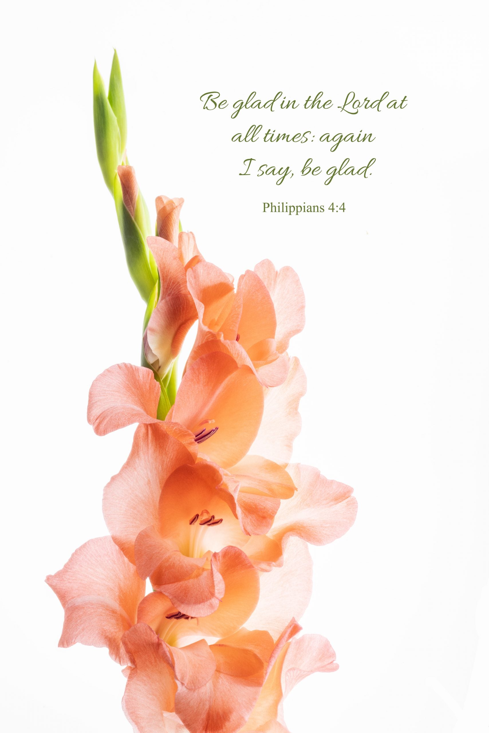 CHP Be Glad in the Lord Card – Hilltop House